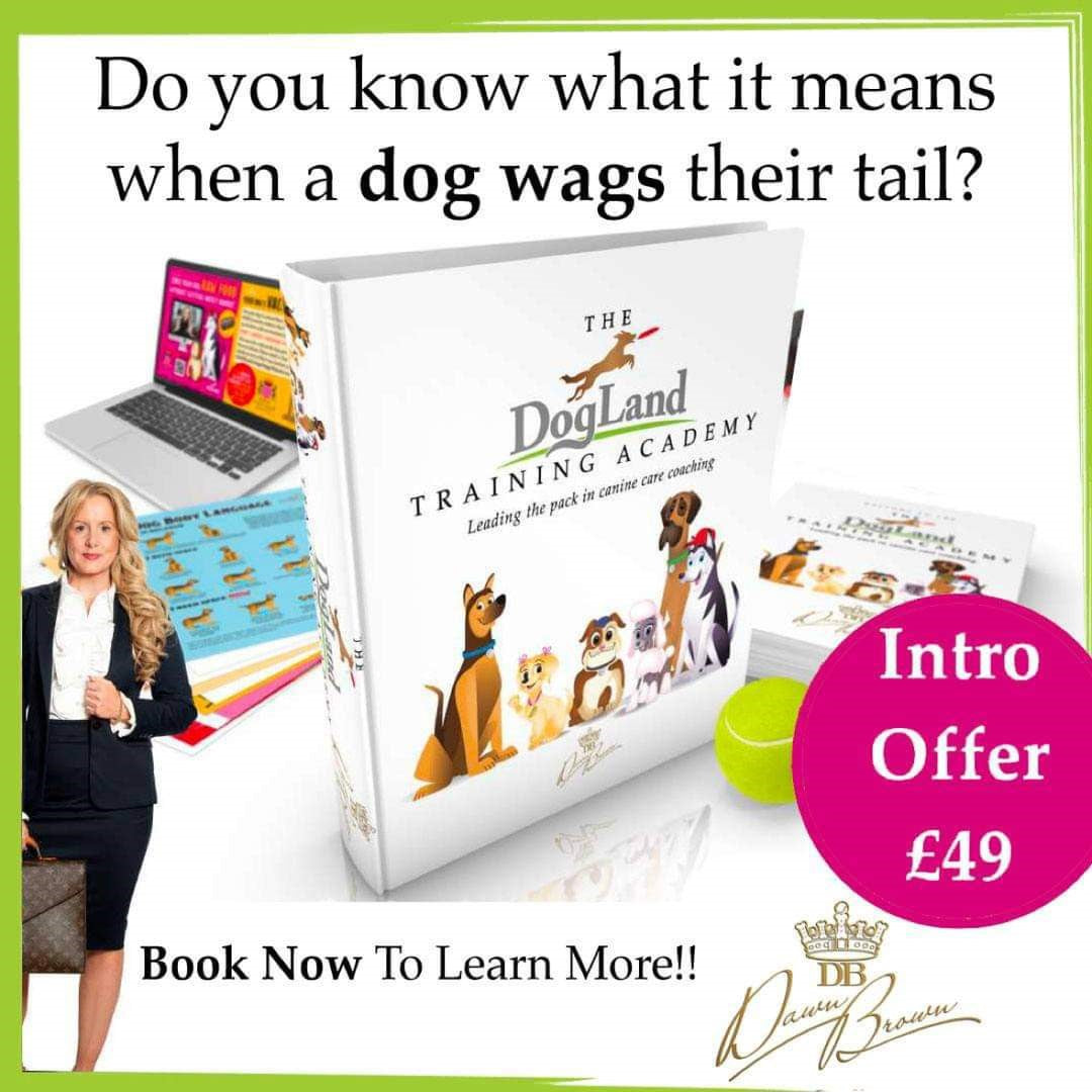DogLand Training Course – Dog Land Deals